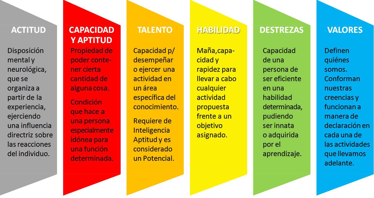 Ejemplos De Habilidades Y Destrezas Escuela